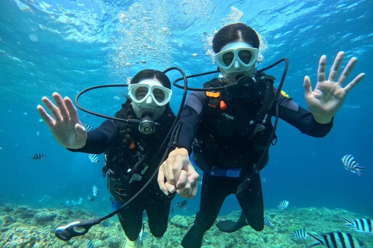 Okinawa Blue Cave chill dive snorkeling and diving Chinese English Japanese - Klook