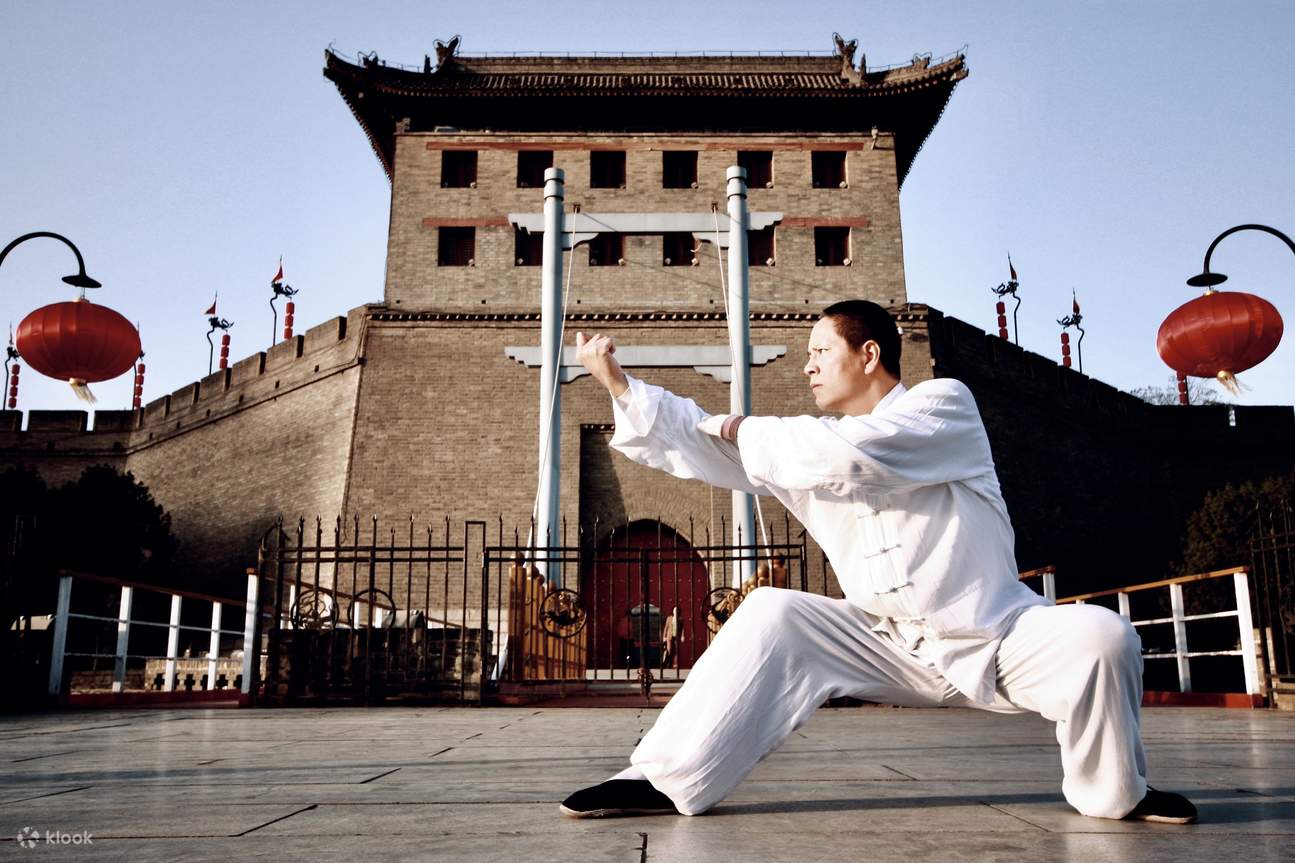 1-Day Tour of Terracotta Warriors in Xi'an (Chinese and English Guide ...