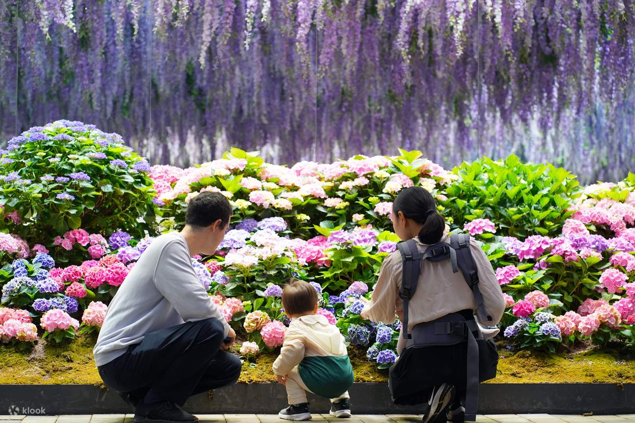 KingCanoe / BBQ / RailBike / Cable Car / Petite Tour(lunch included ...