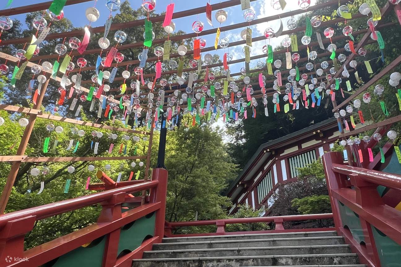 Saga: Yutoku Inari Shrine & Kojo Park & Tosu Outlets 1-day tour ...