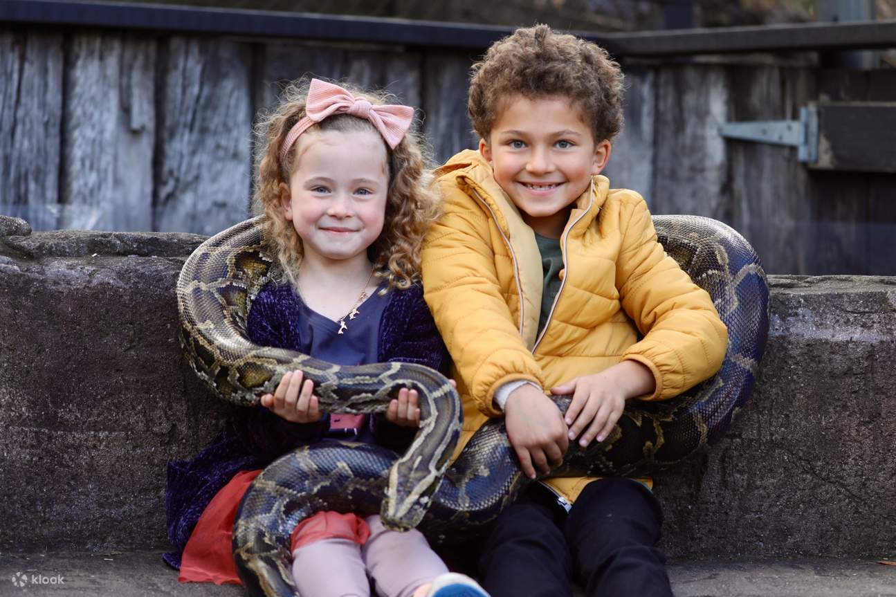 Australian Reptile Park Tickets - Klook