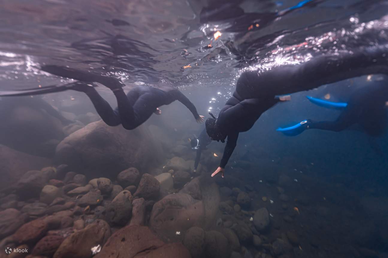 The Legendary Jeju Diving Women Haenyeo Experience - Klook