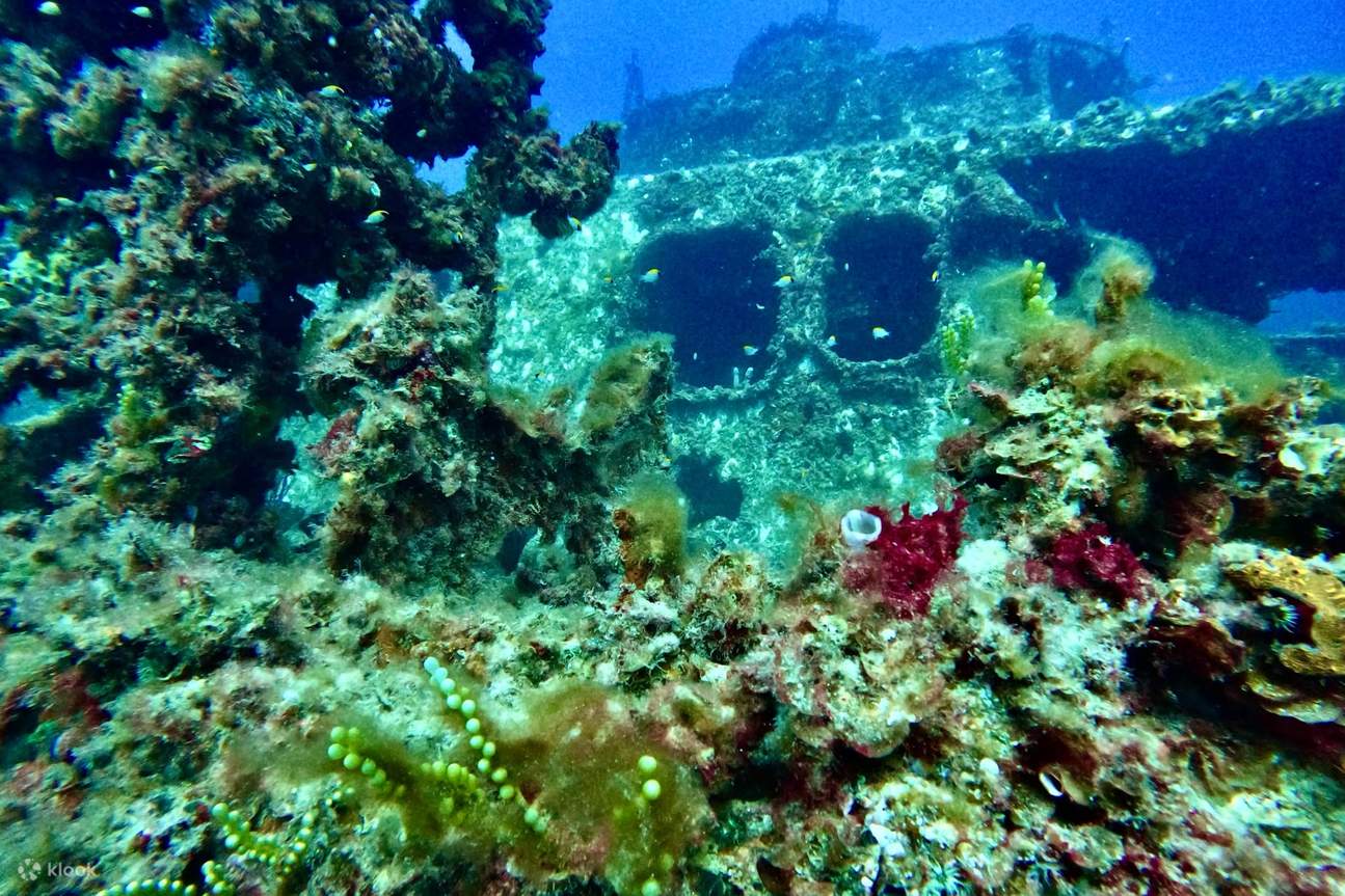 Scuba Diving in HMAS Swan Shipwreck Dive in Busselton - Klook India