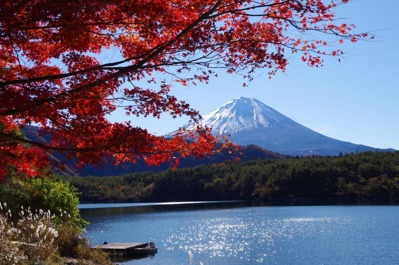 Mt. Fuji Lake Kawaguchi Oshino Hakkai Gotemba Premium Outlets Day Trip ...