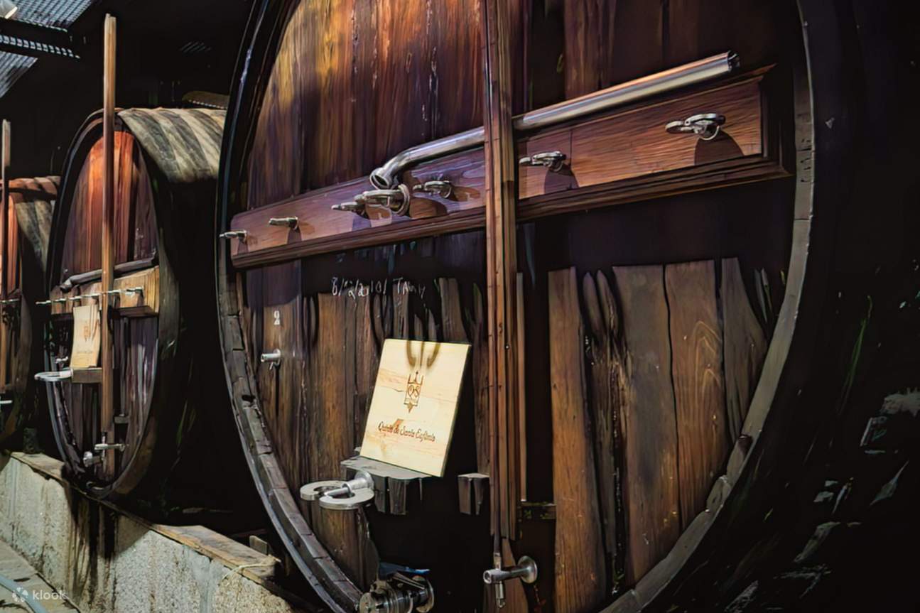 Douro Valley Small Group Day Tour with Lunch - Klook Singapore