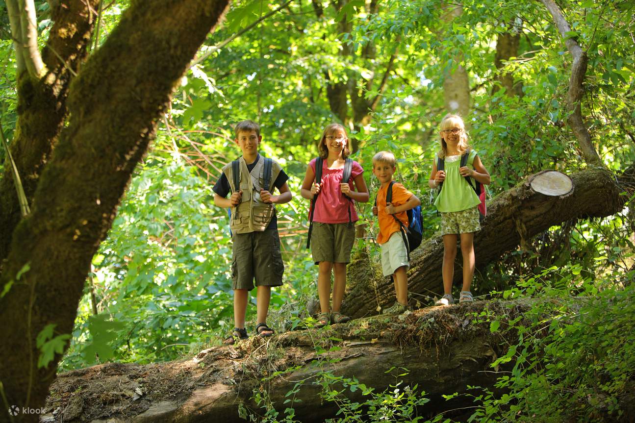 aisl-outdoor-summer-camp-harrow-bangkok-hong-kong - Klook