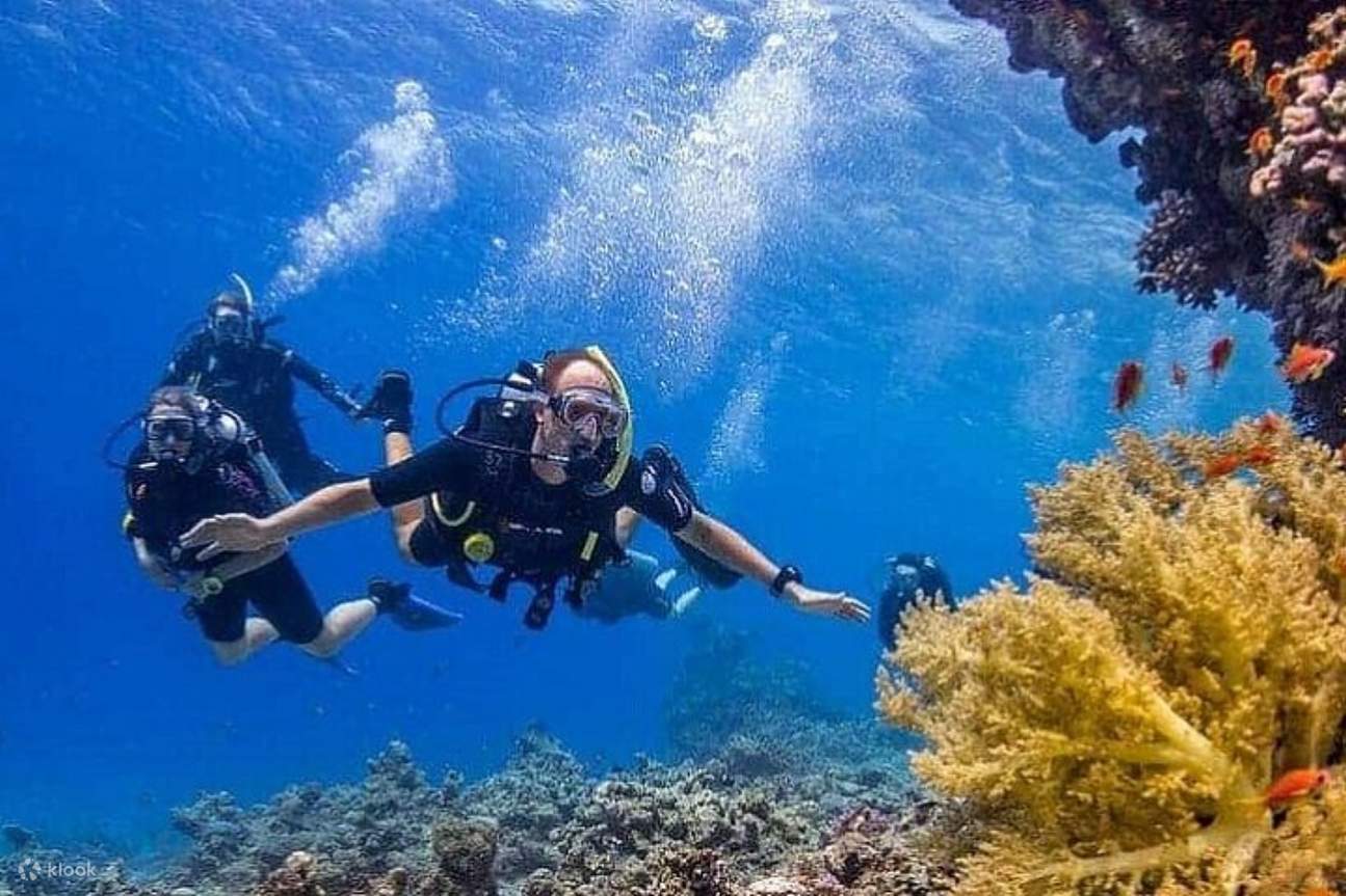 Professional Scuba Diving Full Day Trip With Transfer – Hurghada ...