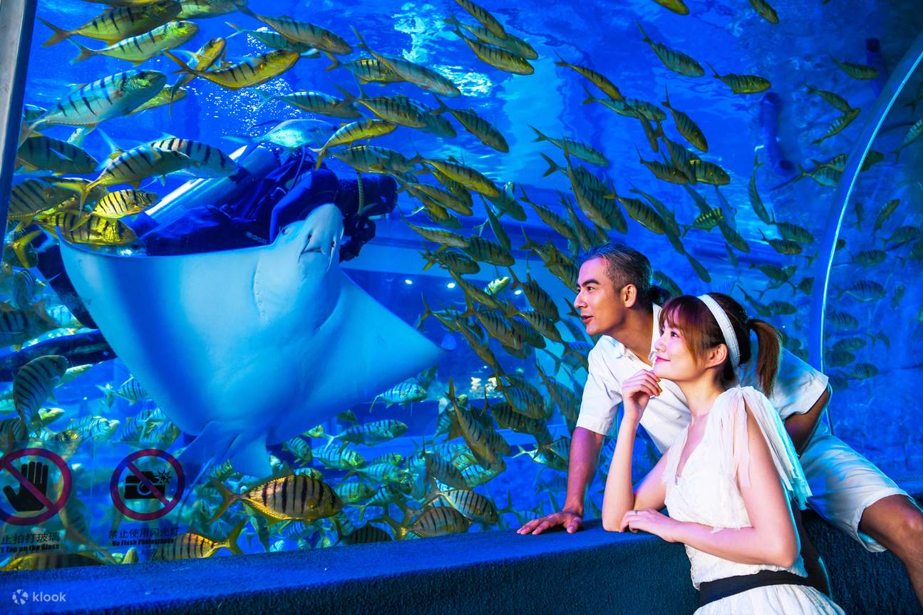 Grandview Aquarium Ticket - Klook Malaysia