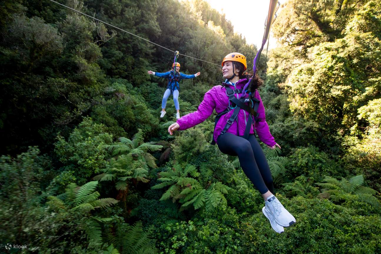 Canopy Tour Zipline Forest Adventure in Rotorua - Klook Australia