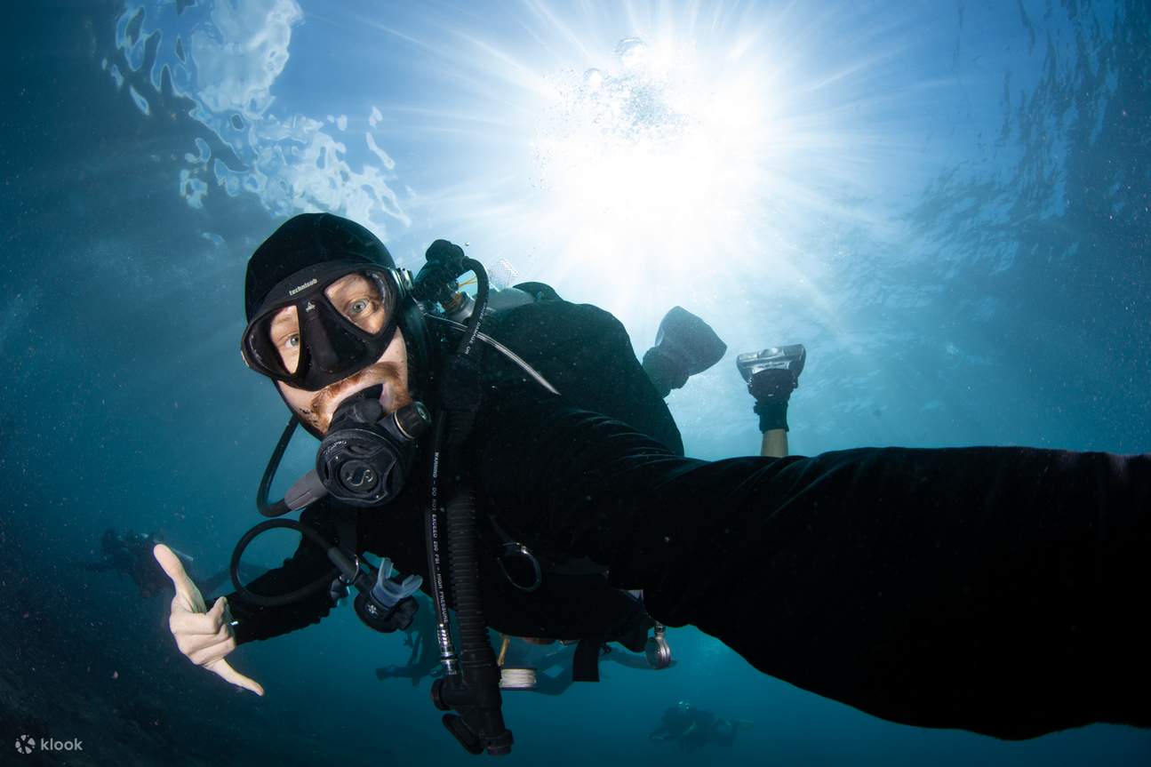 Enjoy a Fun Dive in Bali with PADI 5 Star Dive Resort - Klook United States