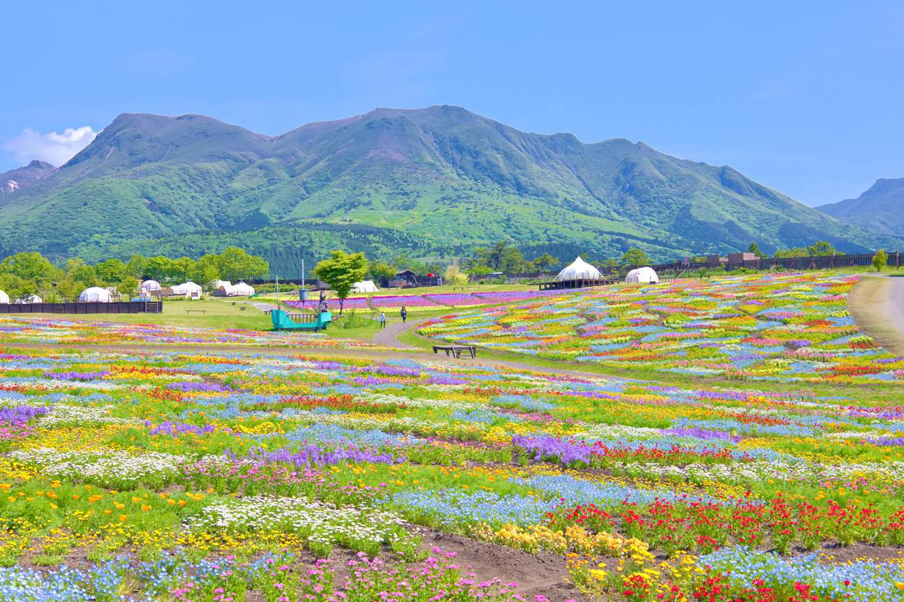 Beppu & Yufuin & Oita Private Car Tour with Driver - Klook Singapore