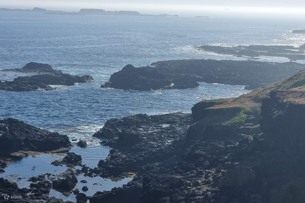 Phillip Island 1 Day Private Tour - Klook India