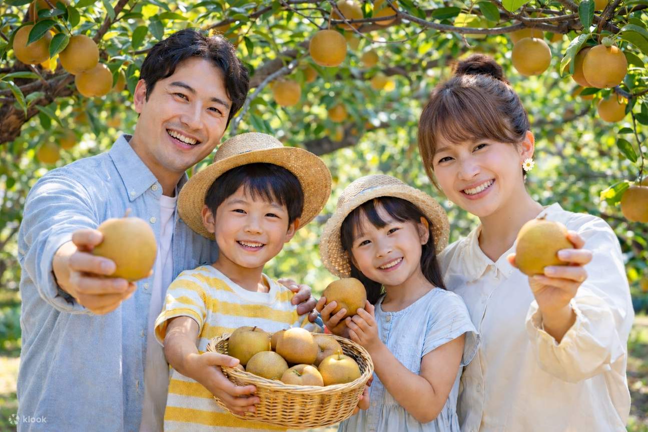 Tottori Sand Dunes & Sand Museum & All-You-Can-Eat Pear Picking ...