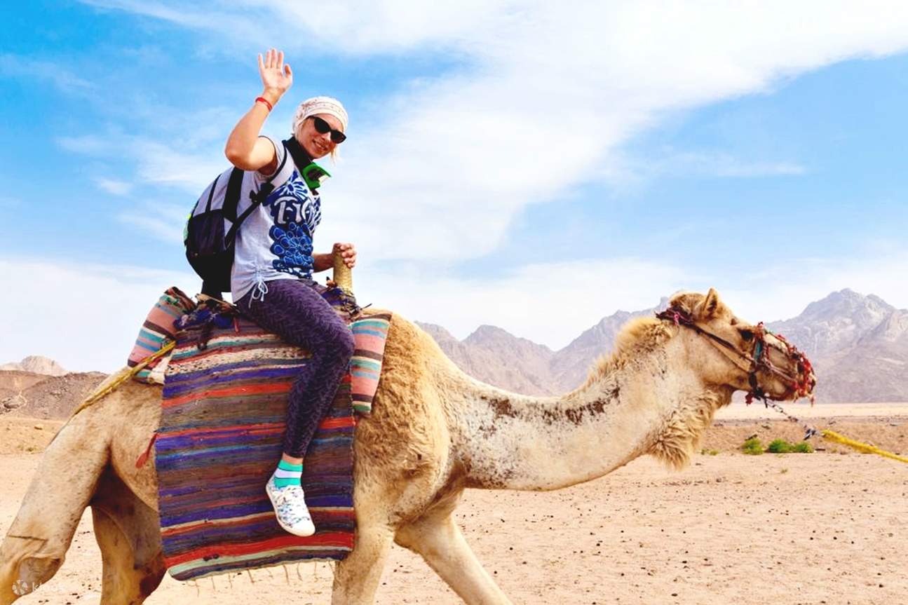 Pengembaraan yang Tidak Dapat Dilupakan di Sharm El Sheikh: Menaiki ...