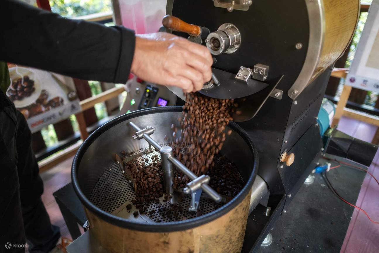 Coffee Plantation 1 Day Visit at Pang-Hai Village in Chaing Mai - Klook ...