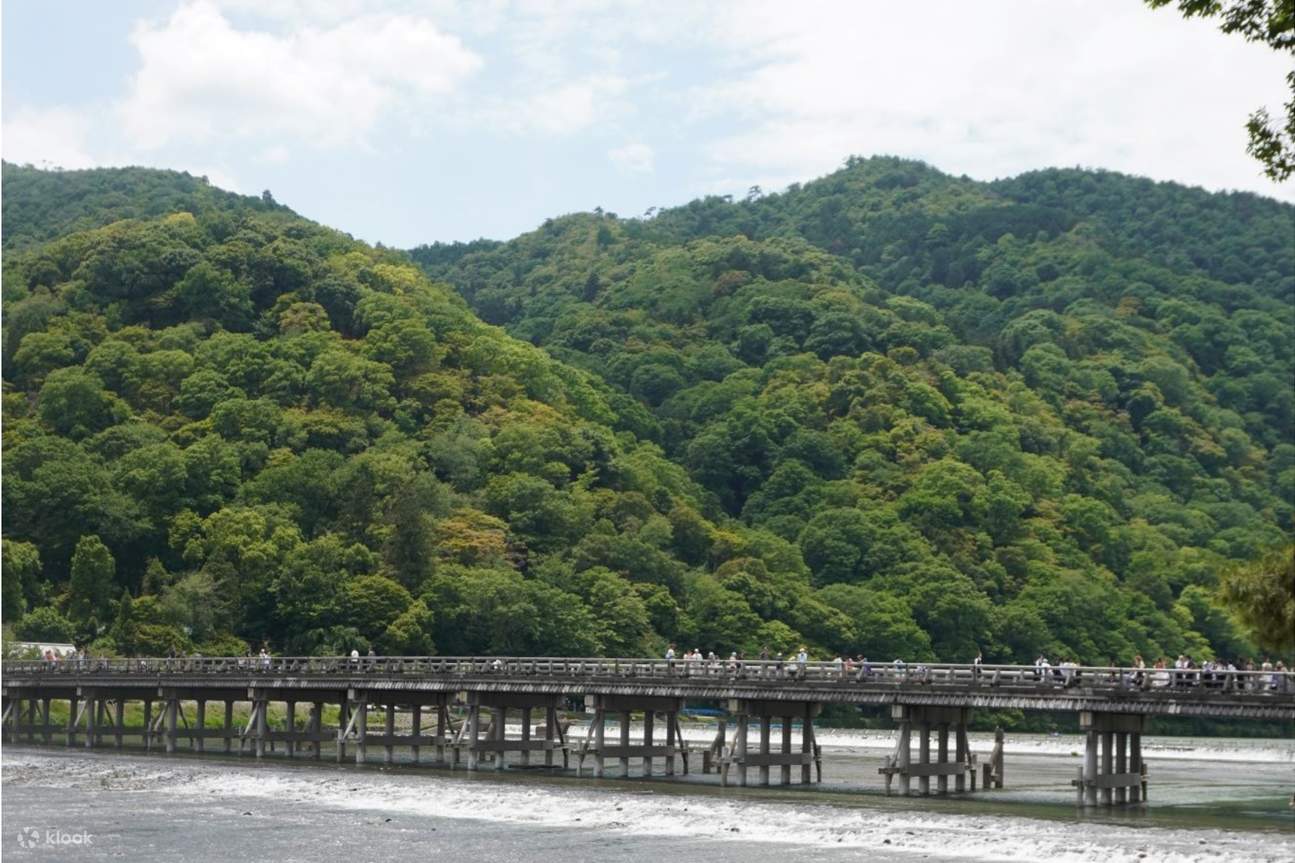Kyoto: Arashiyama Bamboo Grove, Kinkaku-ji Temple, and Kifune Shrine ...