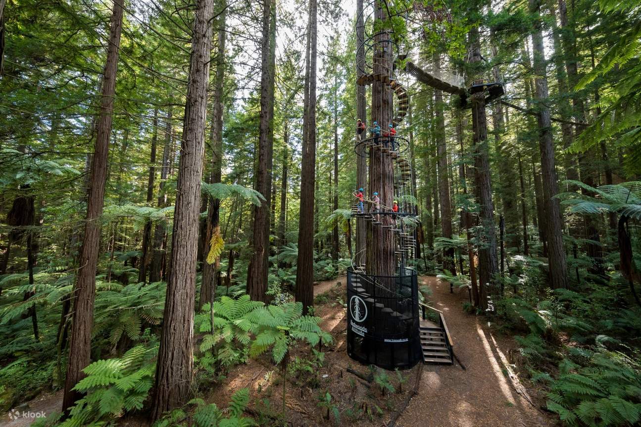 Redwoods Altitude Experience - Klook, Vereinigte Staaten