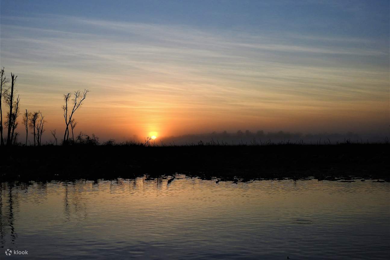 Sunrise Wetland 2-Hour Cruise Tour in Darwin - Klook