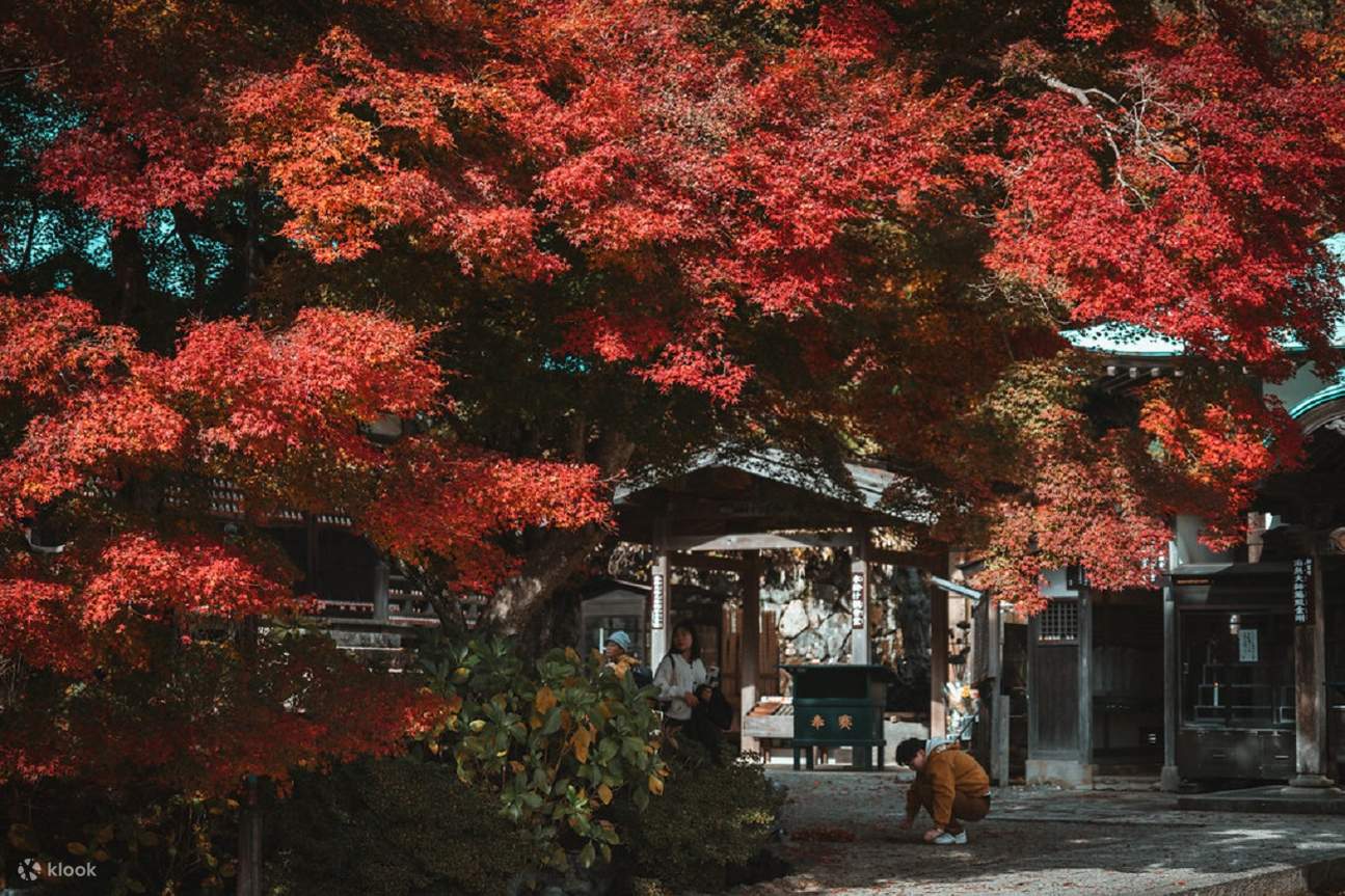 Minoh Katsuoji Temple Walking Tour with Local Guide (4 Hours) - Klook