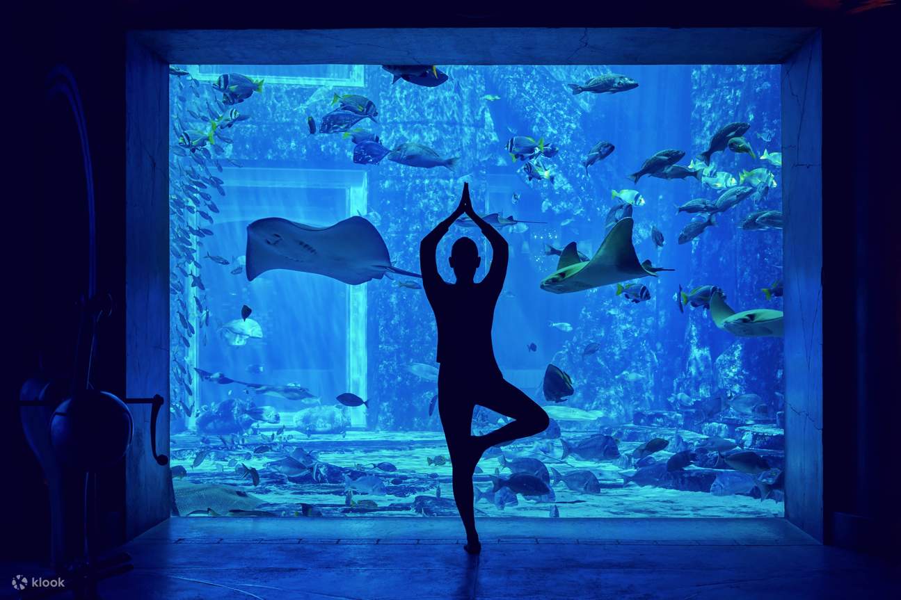 亞特蘭蒂斯水世界冒險樂園門票含失落的空間水族館門票 Klook 客路