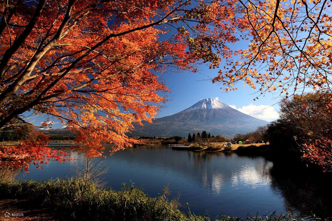 Great Views of Mt. Fuji and Autumn Leaves 1Day Tour from Nagoya - Klook