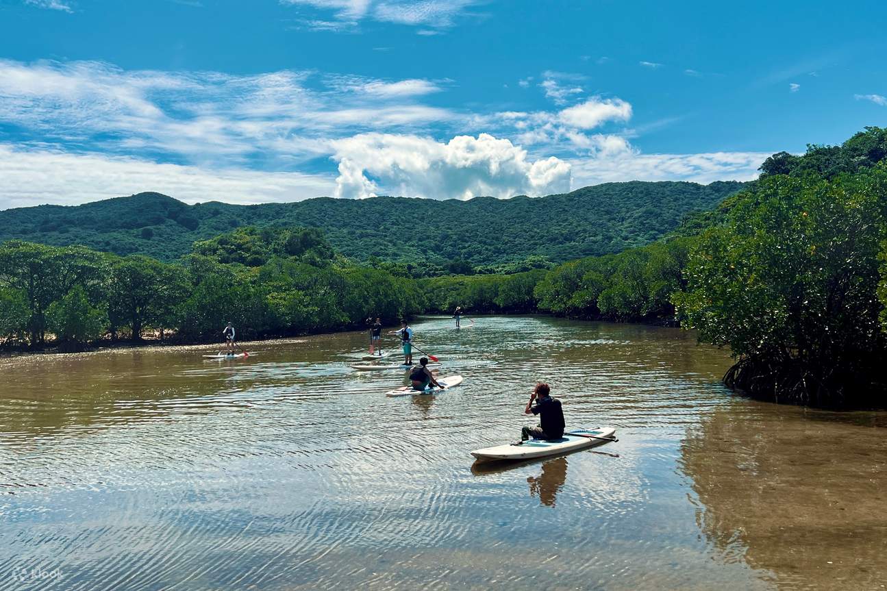 Ishigaki Island Customized Private Day Tour (Hotel/Airport/Port ...