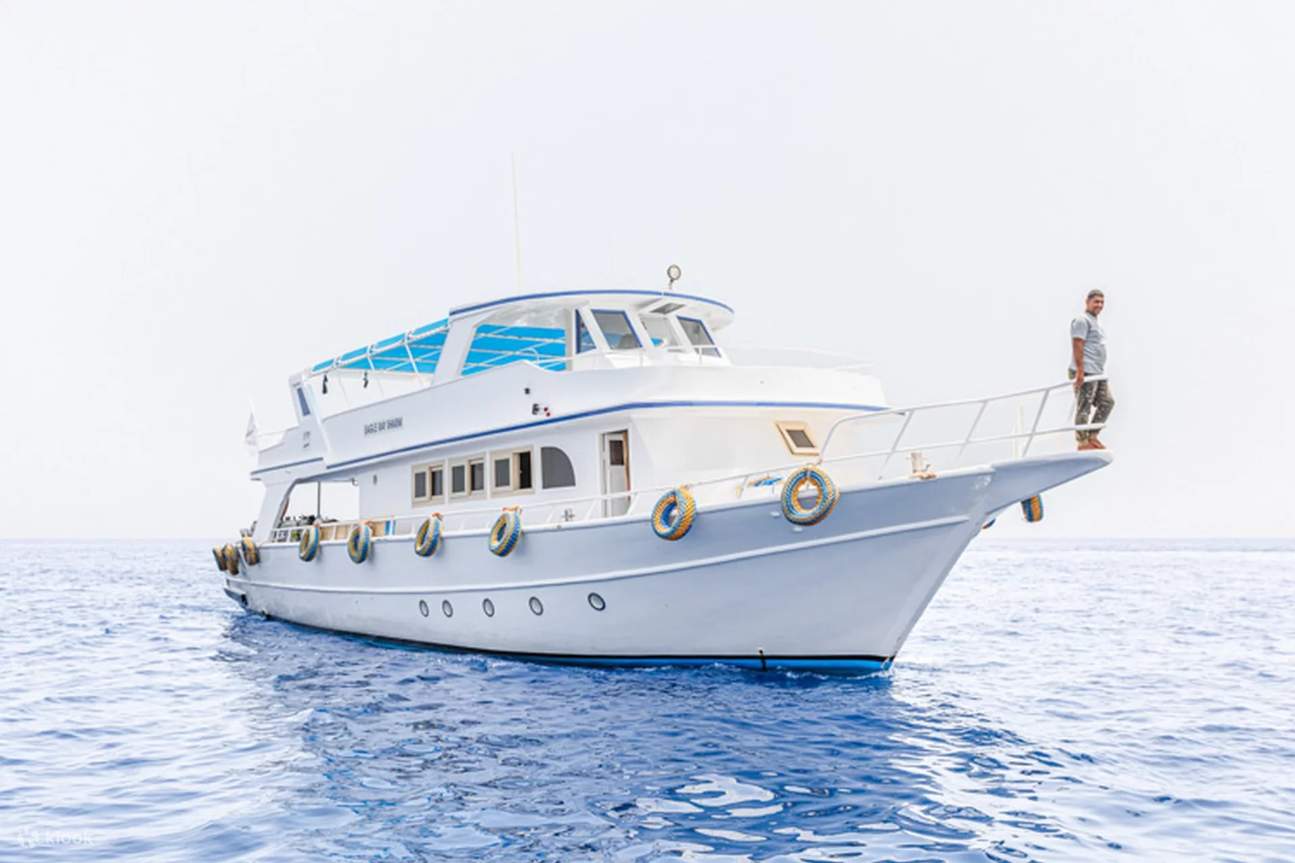 PADI Advanced Open Water Diver in Sharm El-Sheikh with PADI Resort ...