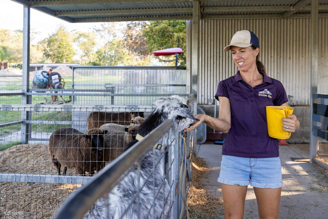 Farm Animals and Tour in Brisbane - Klook Philippines