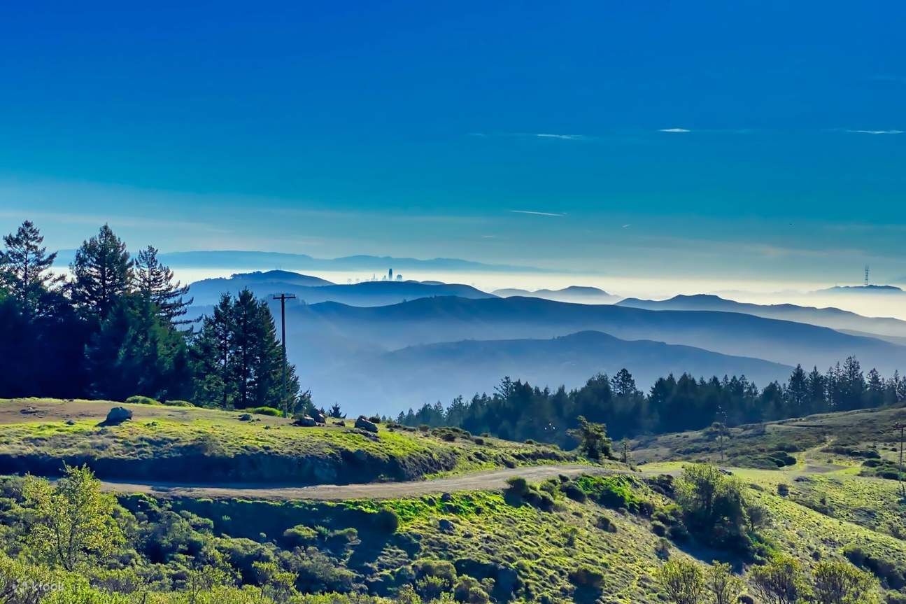 Golden Gate Bridge Bike Tour with Muir Woods & Sausalito - Klook Canada