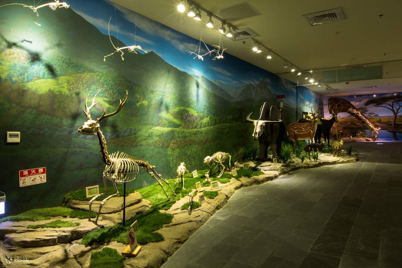 Tainan Tree Valley Life Science Museum: Tickets und Dinosaurier-Tickets ...