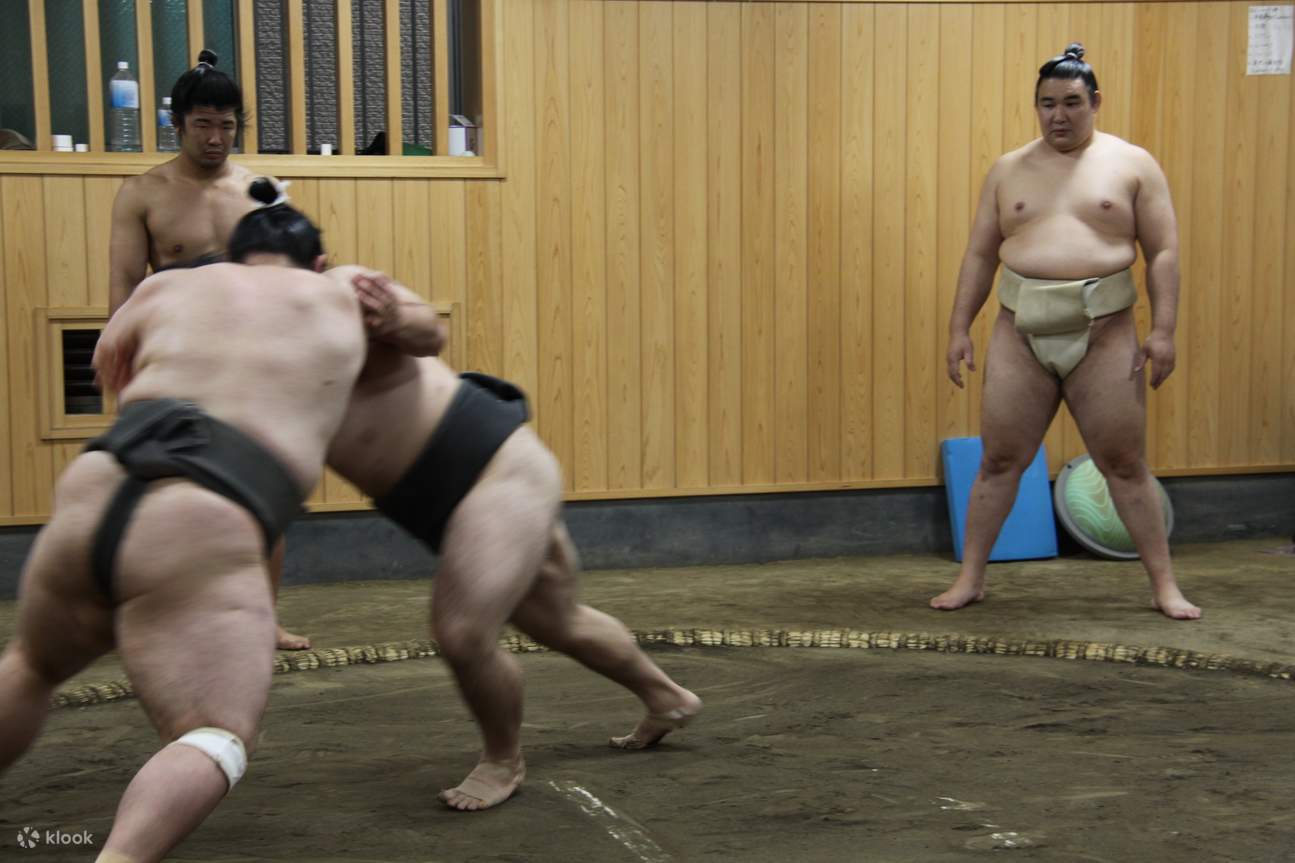 Visita e vivi l'esperienza dell'allenamento mattutino di Sumo, lo sport ...