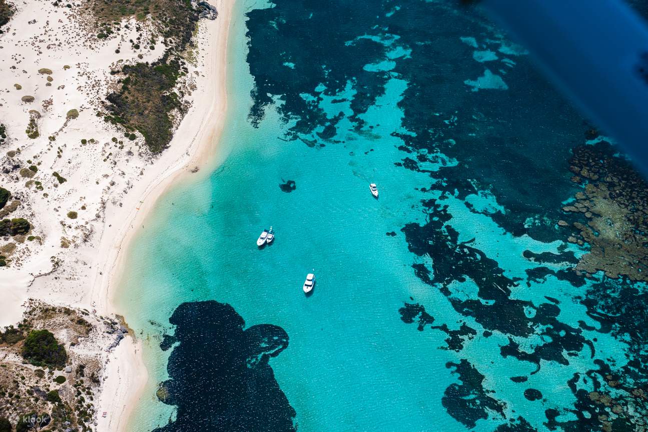 Flug mit dem Wasserflugzeug nach Rottnest Island - Klook, Vereinigte ...
