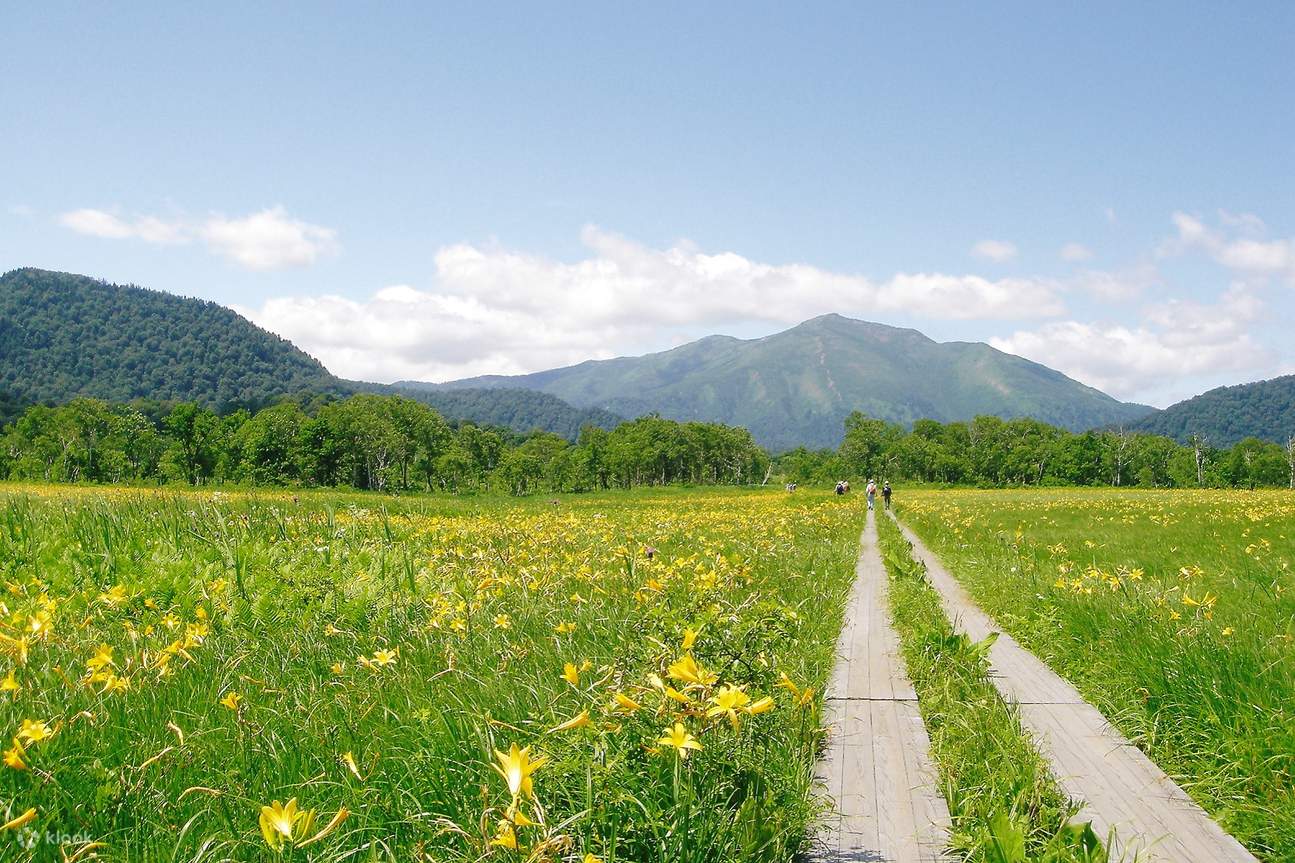 [Gunma Scenic Hiking Tour] Japan's Largest Plateau Wetland "Oze-no-hara ...