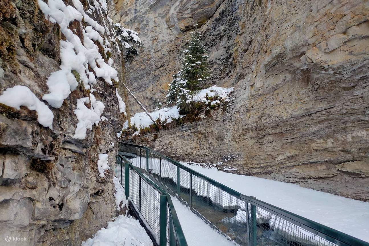 Tur Banff Town, Lake Louise & Johnston Canyon Banff National Park ...