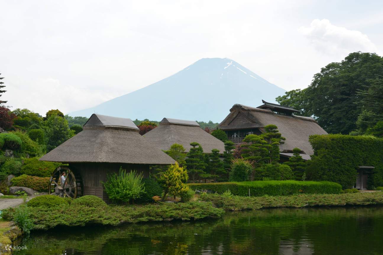 [One-day tour to Mount Fuji’s popular flower viewing spots] Oishi Park ...