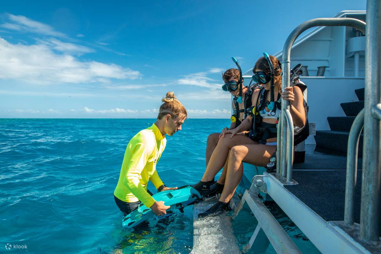 Scuba Diving in Cairns - Klook