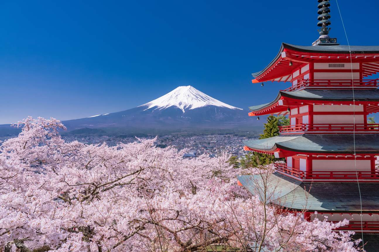 Snap Photography Experience (Around Mt. Fuji) - Klook Philippines