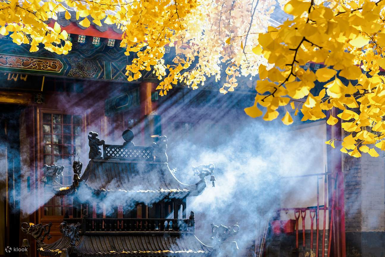 1-Day Tour of Beijing Hongluo Temple (Prayer Line, daily round trip ...