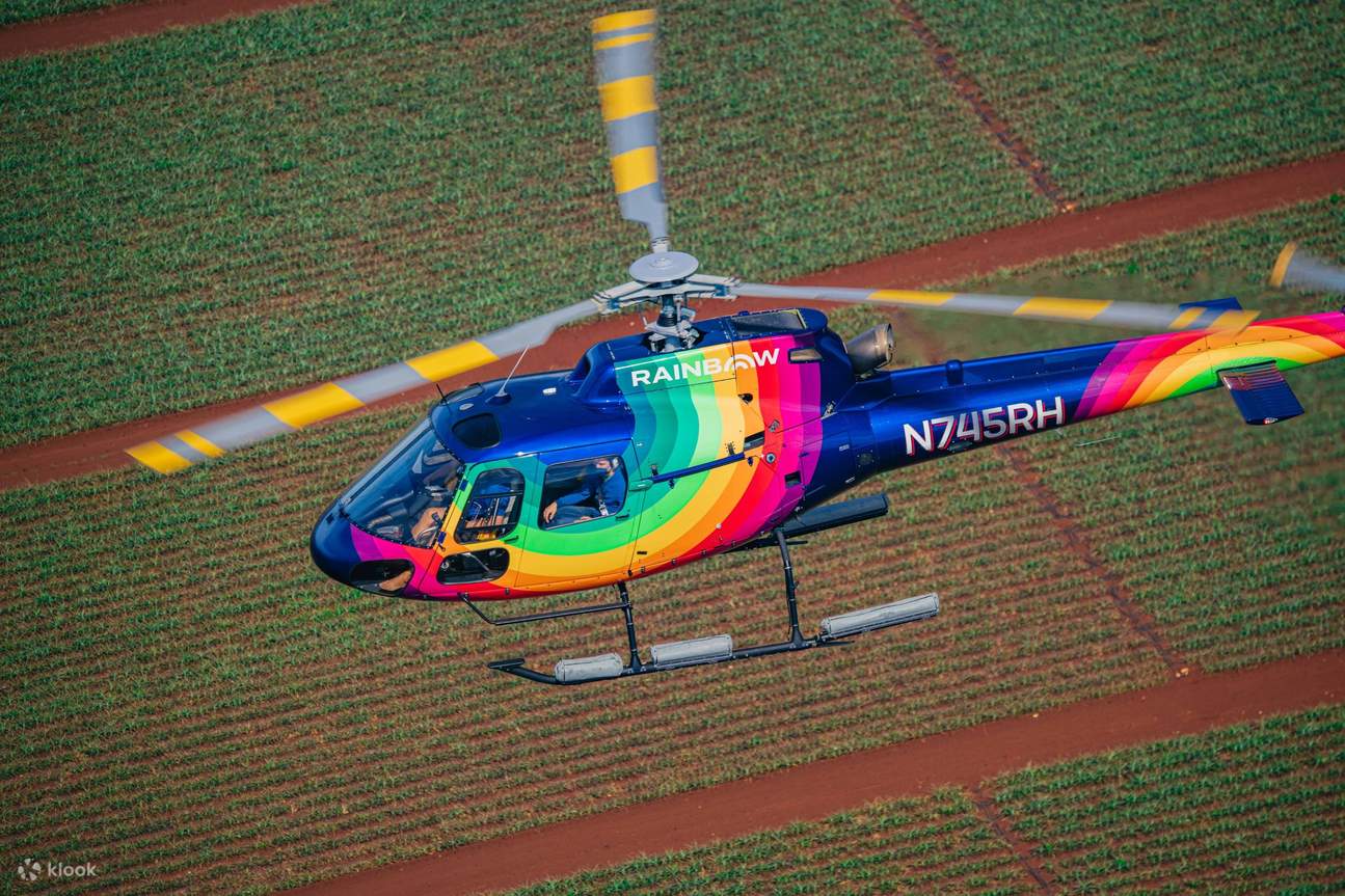 Royal Crown 60 Minutes Helicopter Doors On/Doors Off Tour - Klook ...