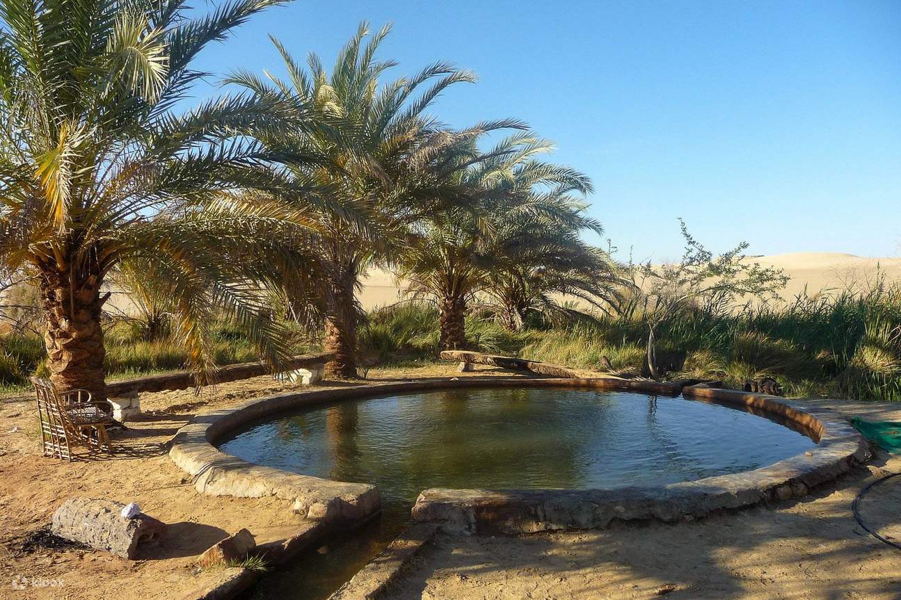 4-Day Siwa Oasis Adventure from Cairo - Klook
