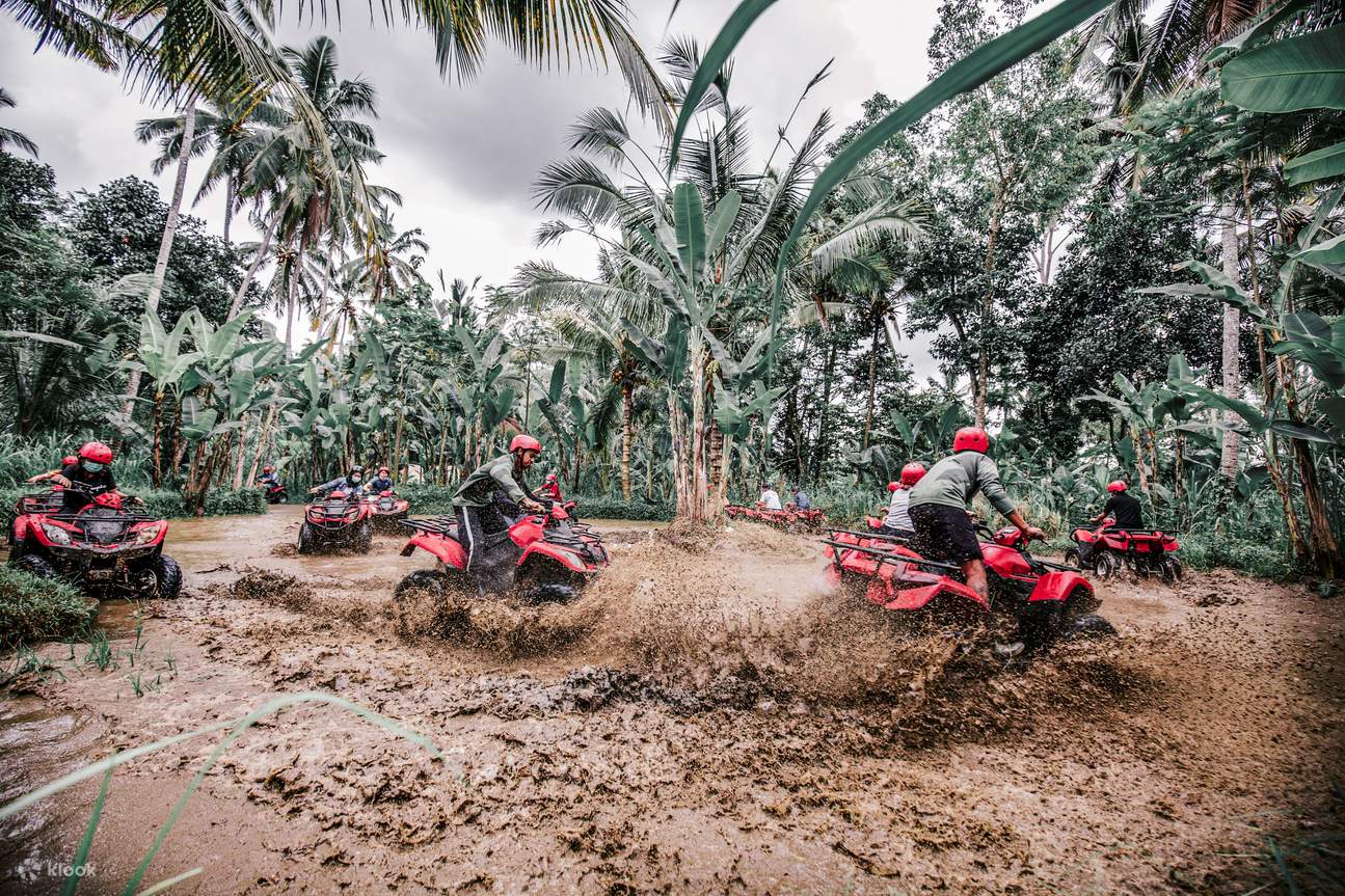 Bali ATV Quad Bike Adventure ad Abiansila Ubud - Klook Stati Uniti
