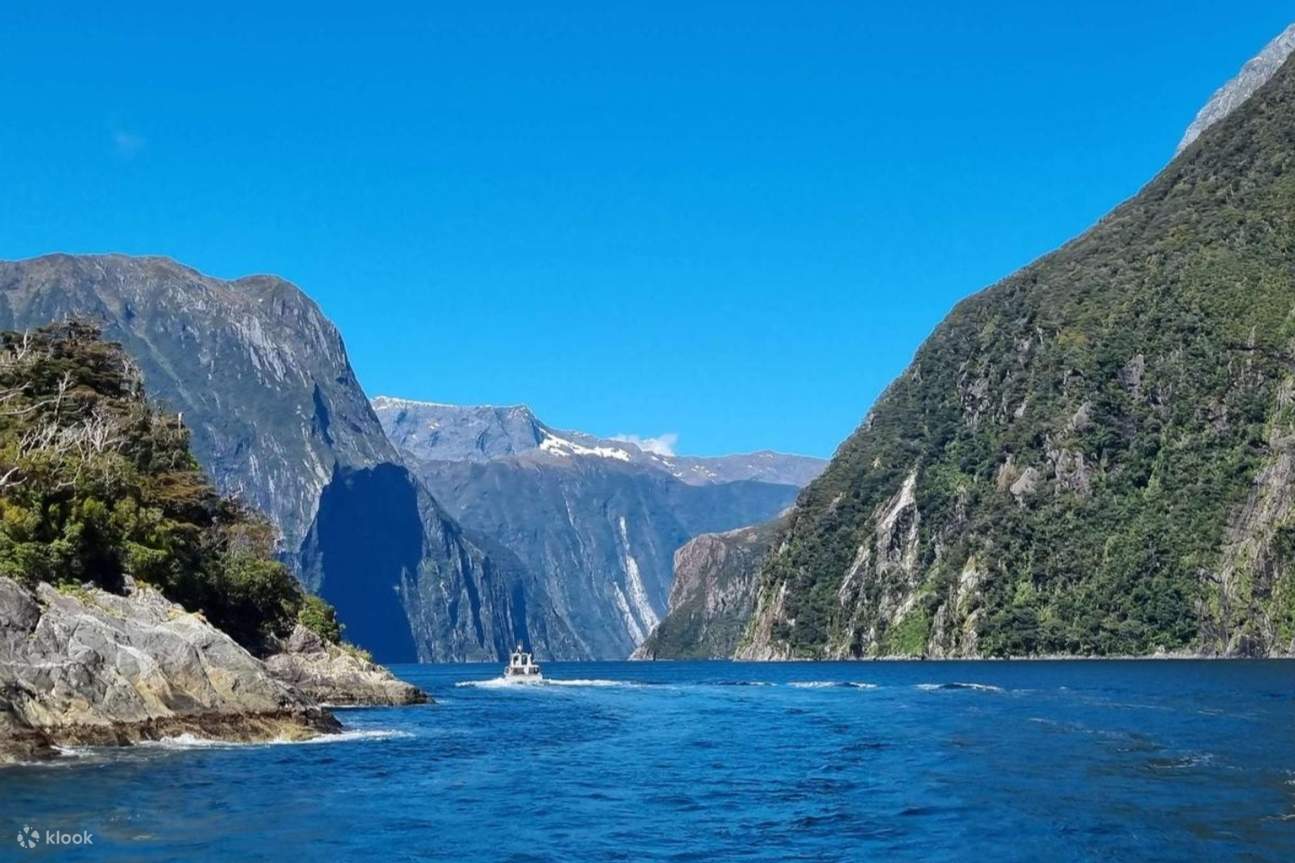 Premium Milford Sound Small Group Tour from Queenstown or Te Anau ...
