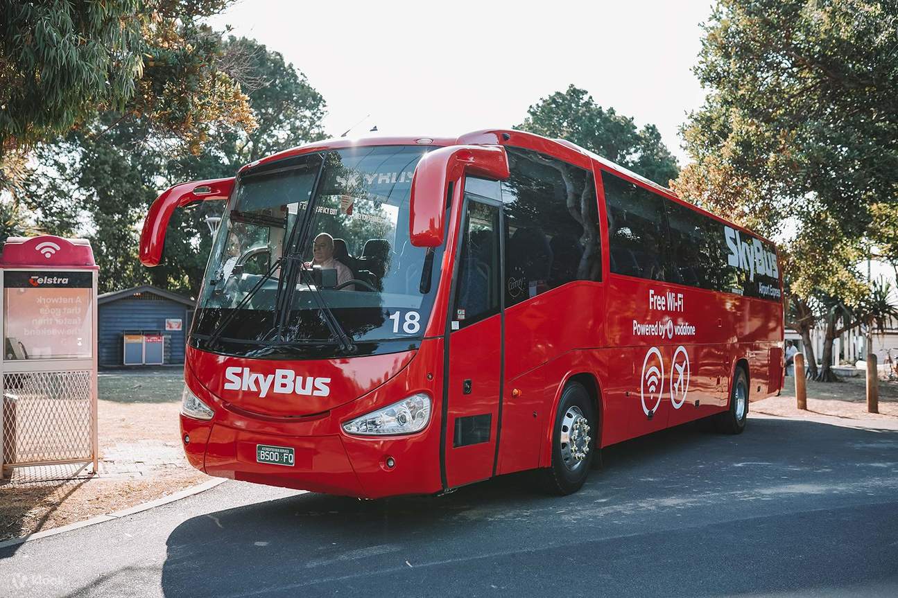 SkyBus Byron Bay Express Transfer from Gold Coast Airport - Klook Australia