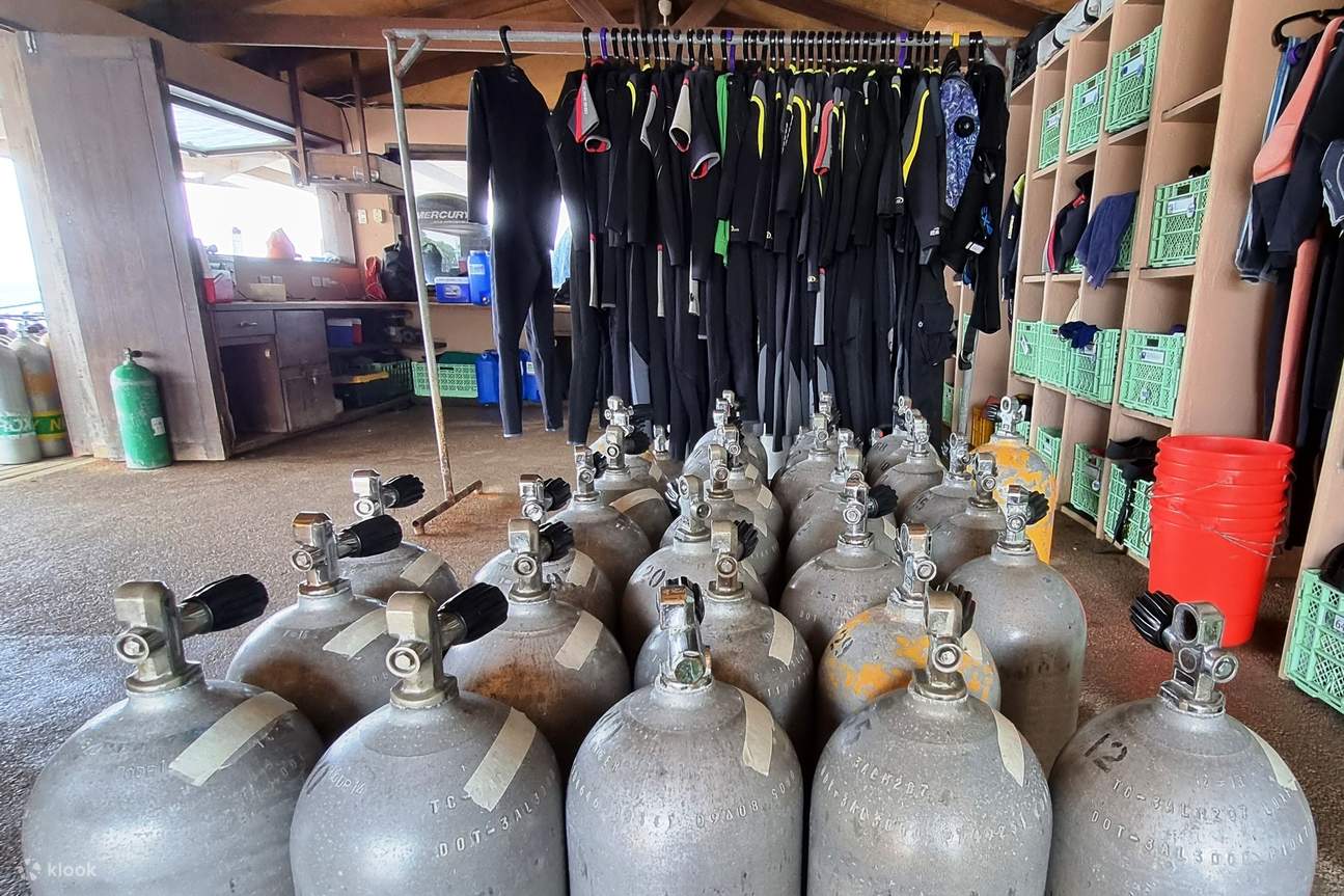 Elevate Your Dive: PADI Enriched Air Diver in Puerto Galera with PADI 5 ...