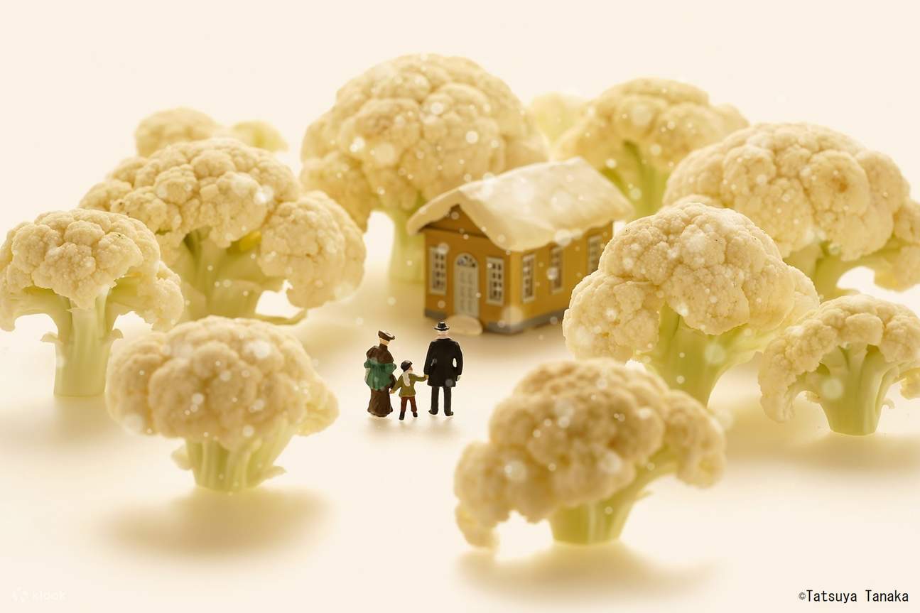 MINIATURE LIFE Exhibition -Tanaka Tatsuya's World of Metaphors- in ...