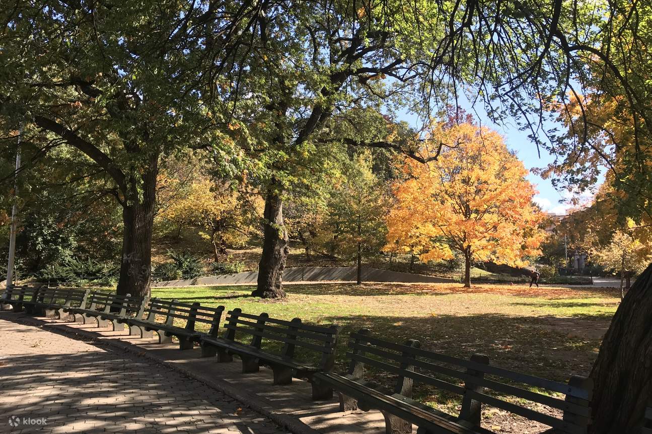 Mount Morris Park Historic Walking Tour - Klook, Vereinigte Staaten