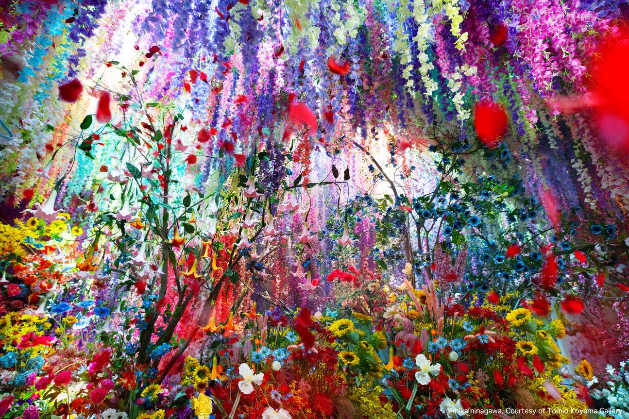 Mika Ninagawa Exhibition with EiM: Light of the Higan, Shadow of this ...