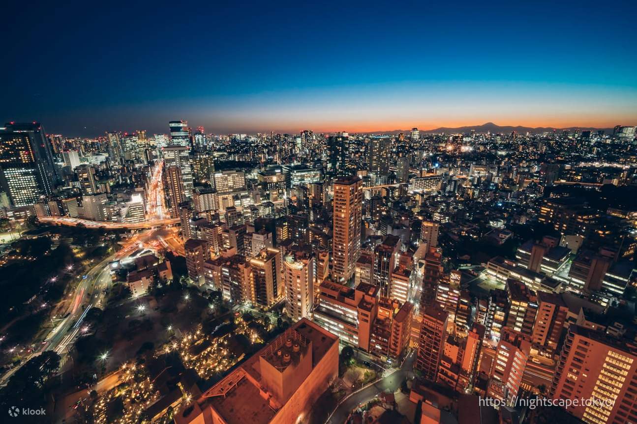 Tokyo Night Electric Bike Tour with Tokyo Tower and Dolphin Show ...
