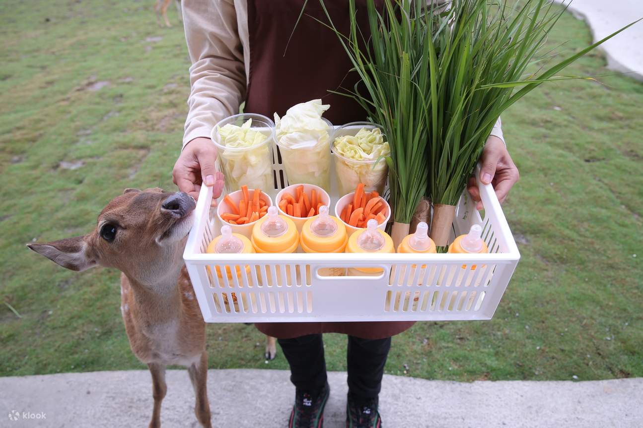 Yilan: Xingbao Onion Experience Farm - Klook Malaysia