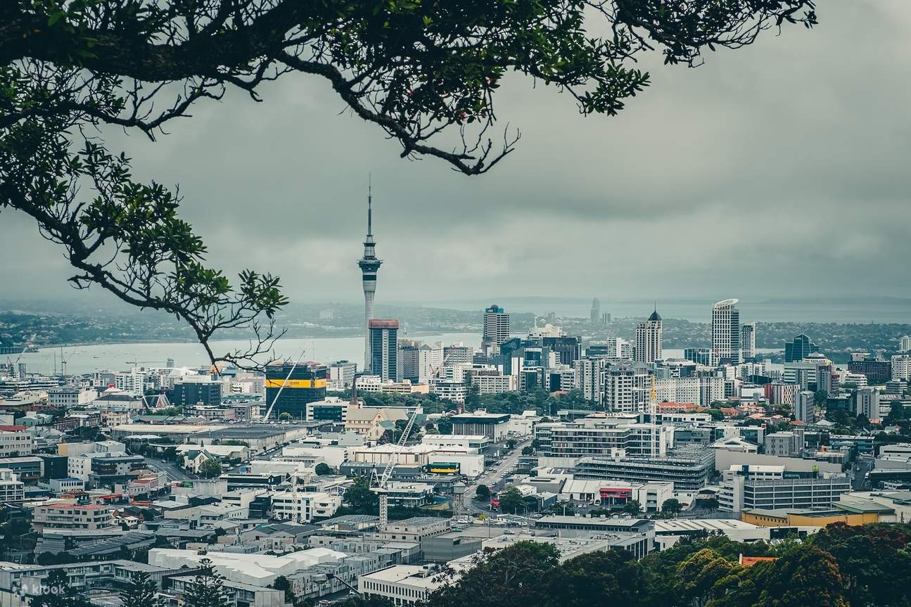 Auckland City Private Tour - Klook